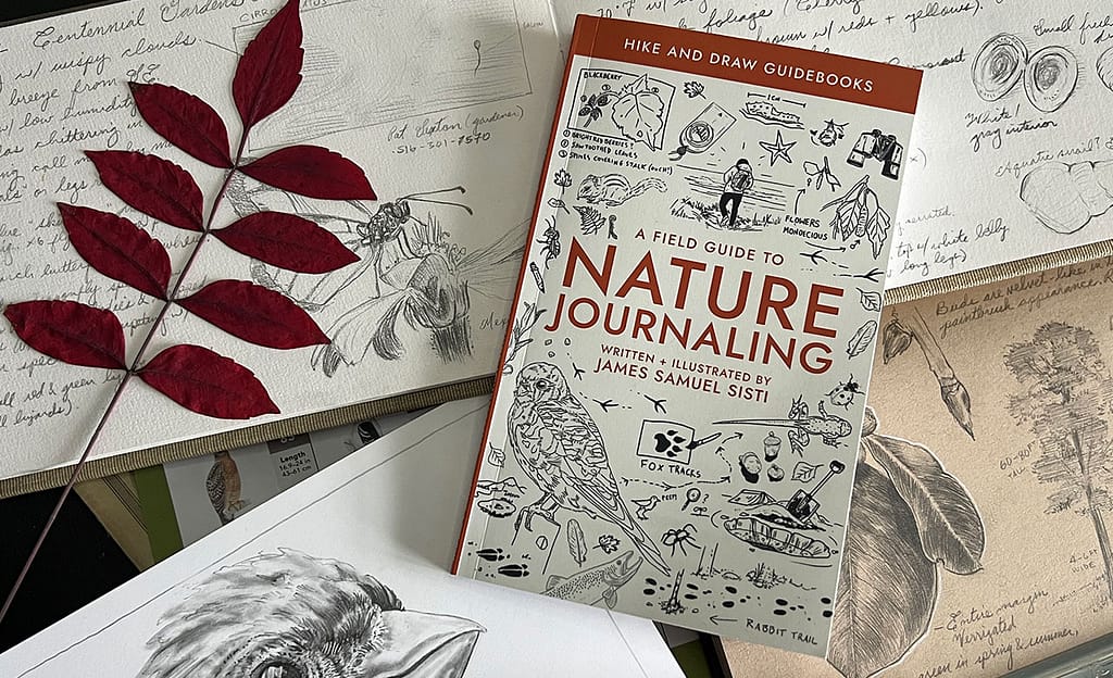 Hike And Draw - Nature Journaling Prompts, Awesome Tips on How to Draw ...