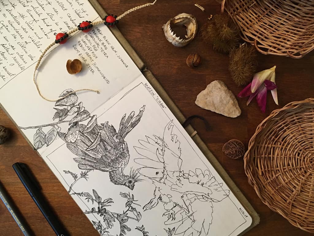 Nature Journaling Prompts [FREE DOWNLOADABLE PROMPTS LIST]