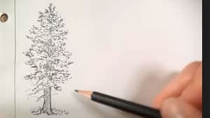 Hike And Draw - How to Draw Trees [FREE TUTORIAL]