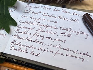 Nature Journaling Prompts [FREE DOWNLOADABLE PROMPTS LIST]