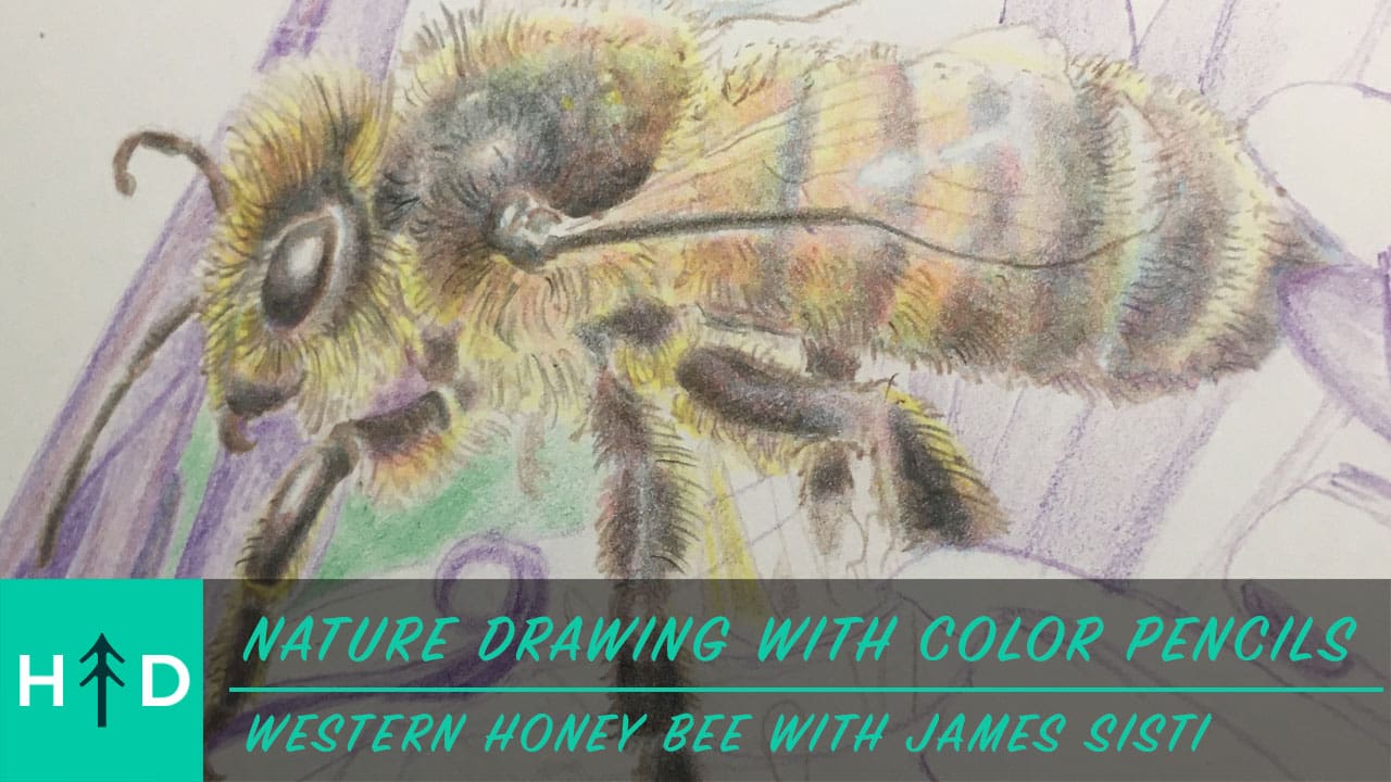 how to draw color nature