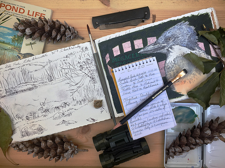 Journaling in Nature [FREE NATURE DRAWING LESSON]